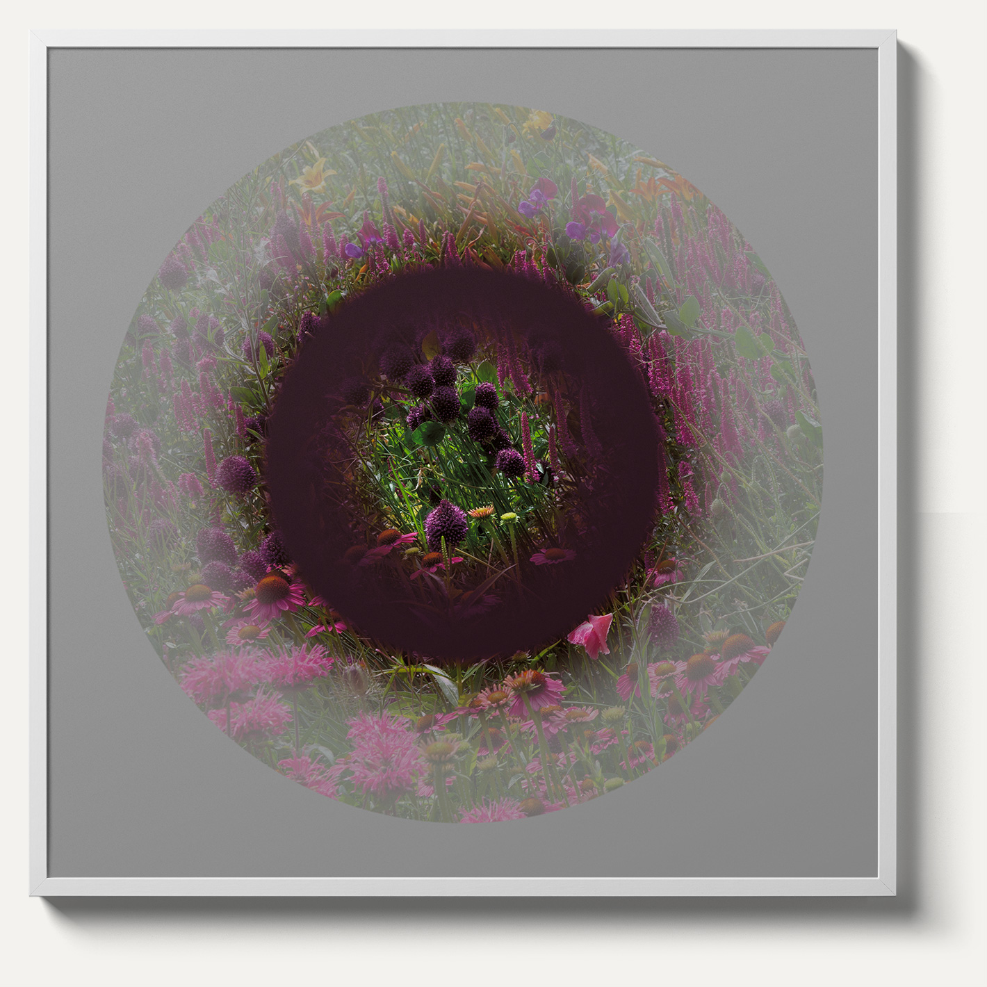 Welcome to Rudd Studio