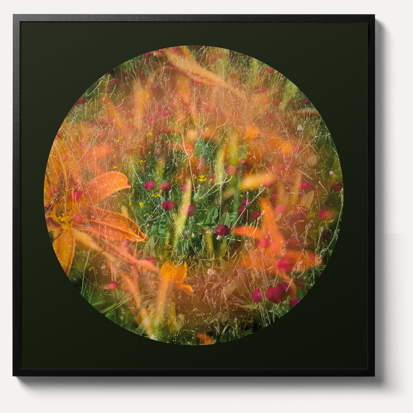 Welcome to Rudd Studio